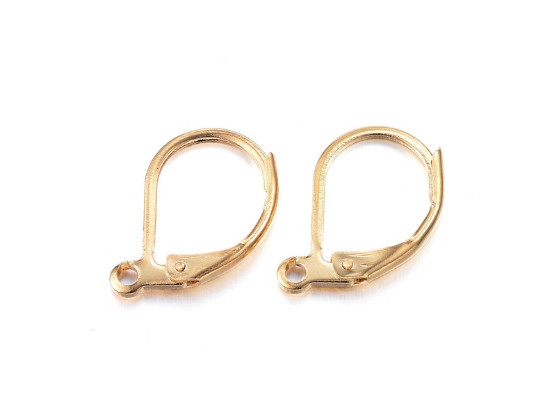 Gold Stainless Lever Back Hoop Earring Hooks 10pcs 5 Pairs - Etsy