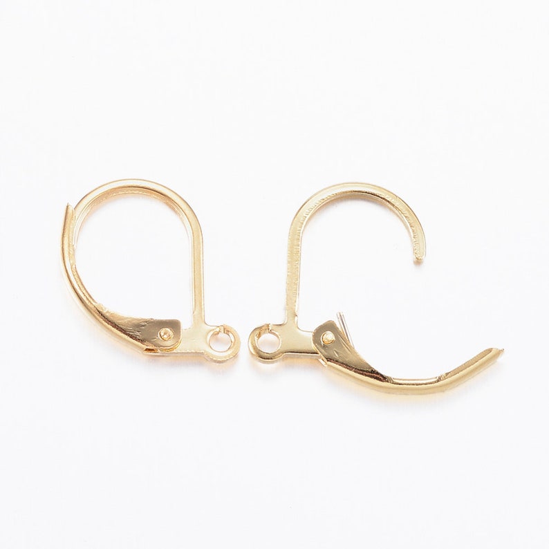 Gold Stainless Lever Back Hoop Earring Hooks 10pcs 5 Pairs - Etsy