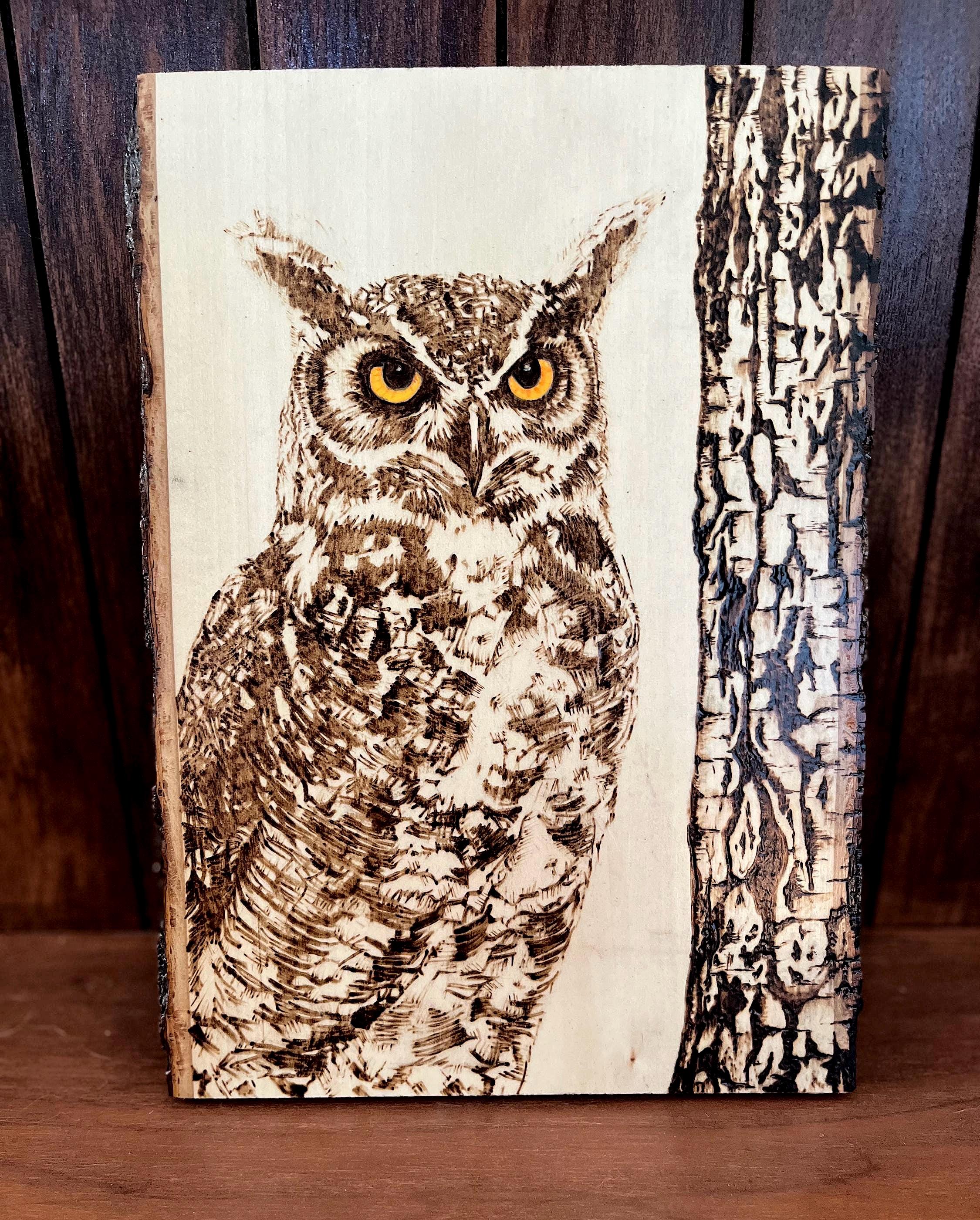 Wood Burned Owl Art: Rustic Pyrography, Bird Lover Gift - Etsy
