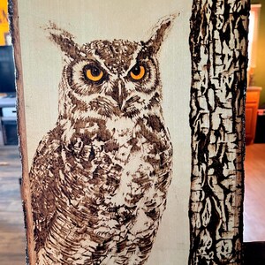 Wood Burned Owl Art: Rustic Pyrography, Bird Lover Gift - Etsy