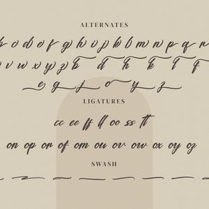 Rosemarie – Modern Calligraphy Font - Etsy