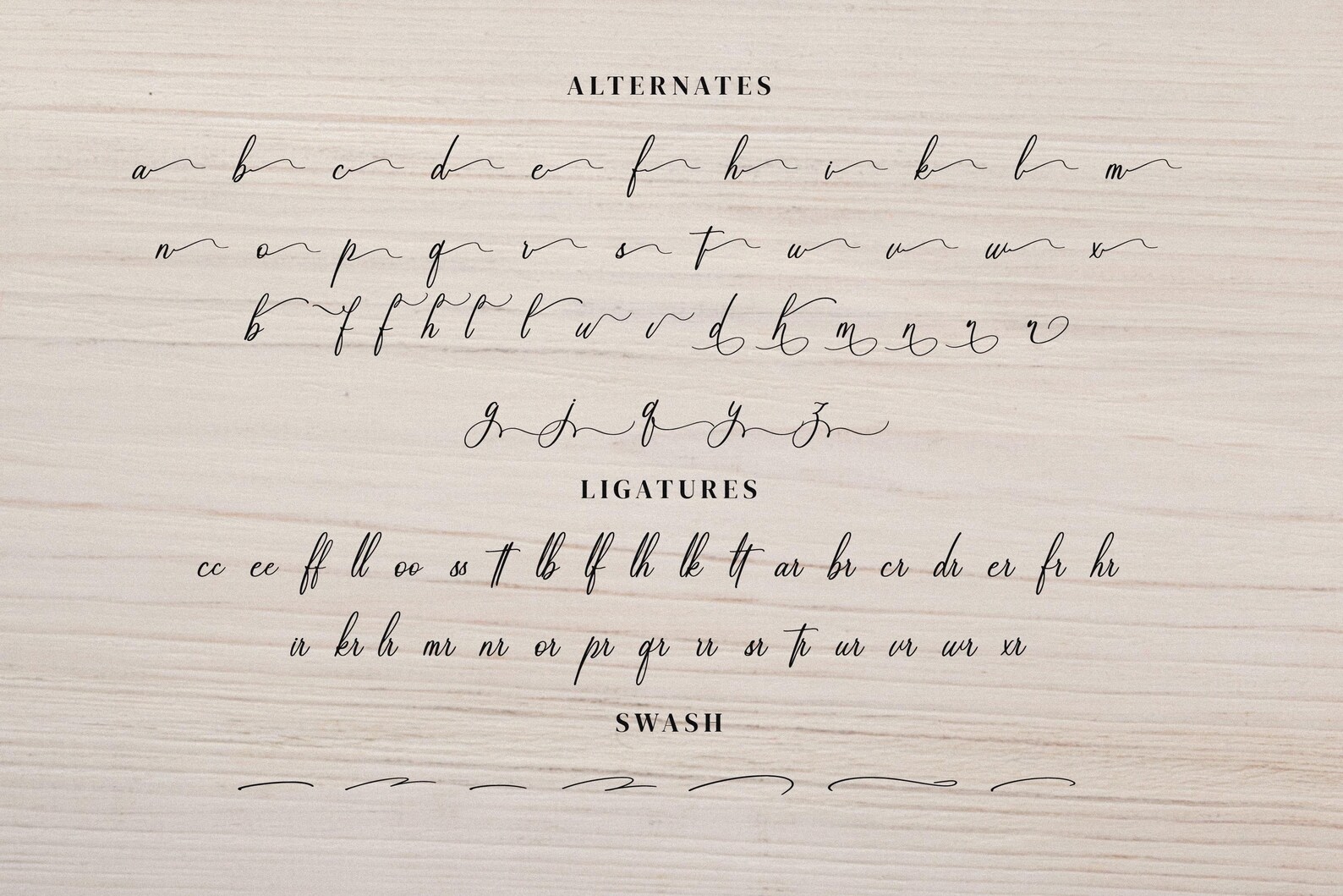 Shastenlly - Modern Calligraphy Font - Etsy