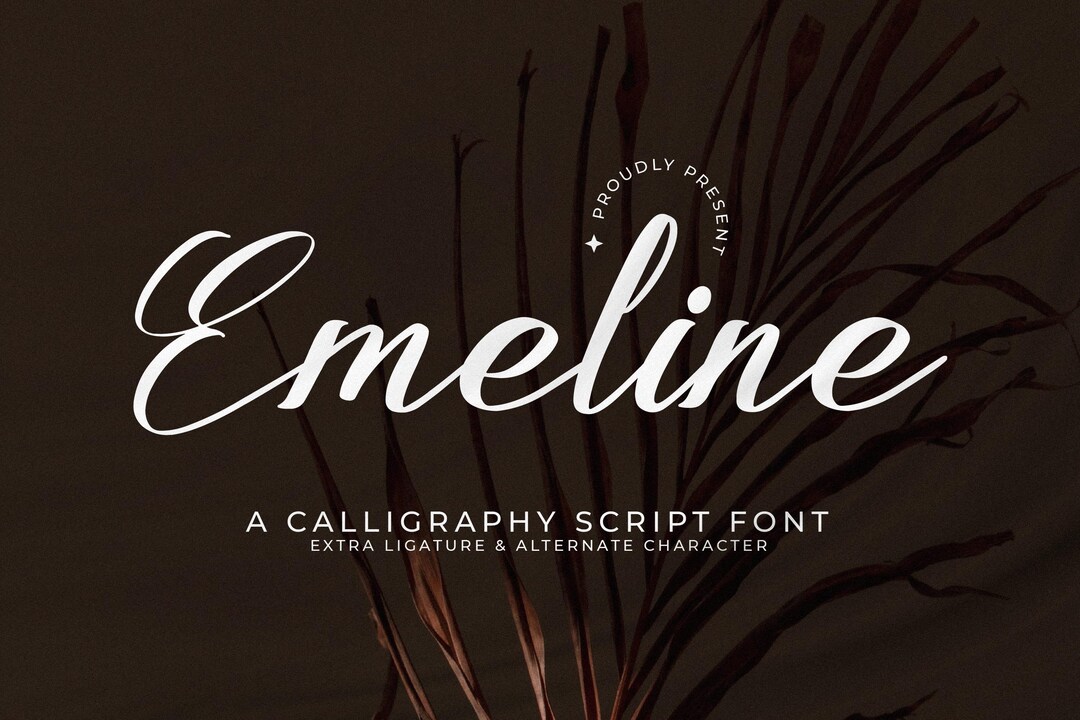 Emeline - A Calligraphy Script Font - Etsy