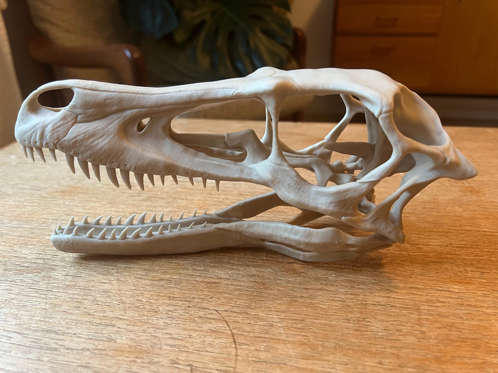 Full-size 3D Printed Raptor Skull With Stand – Realistic Dinosaur ...