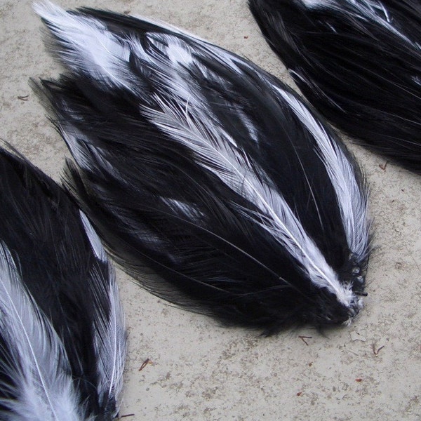 FeatherShoppe - Etsy