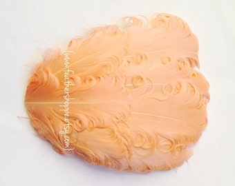 FeatherShoppe | Etsy