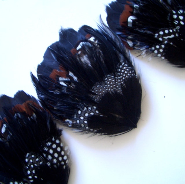 FeatherShoppe - Etsy