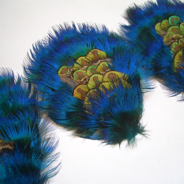 FeatherShoppe - Etsy