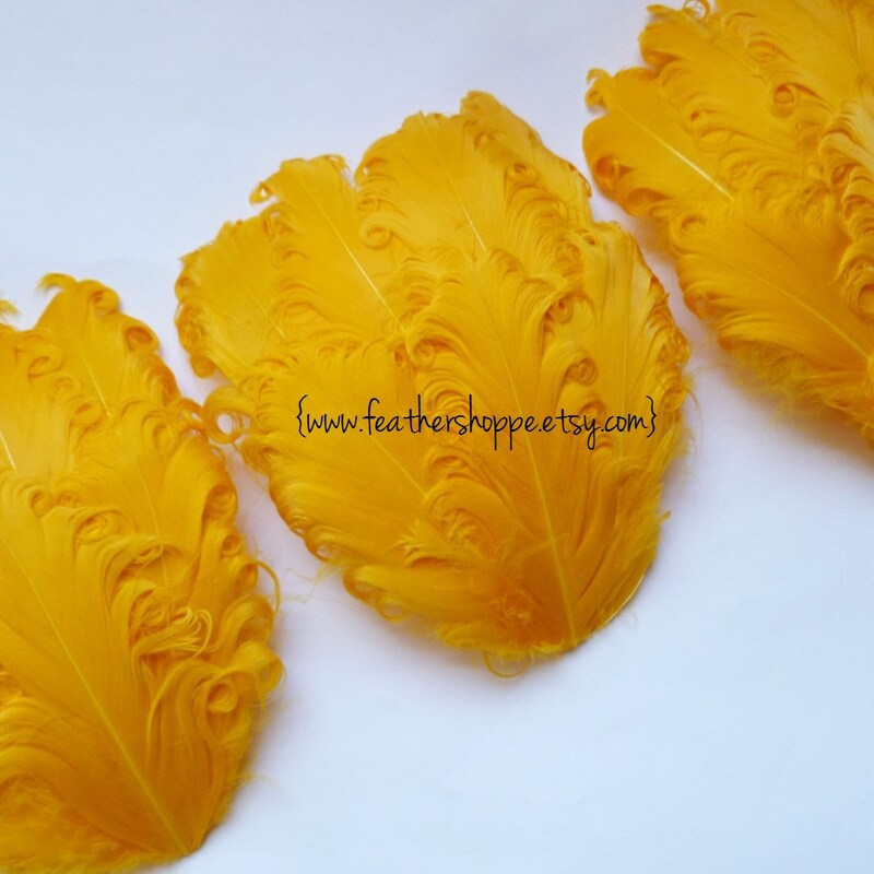 FeatherShoppe - Etsy