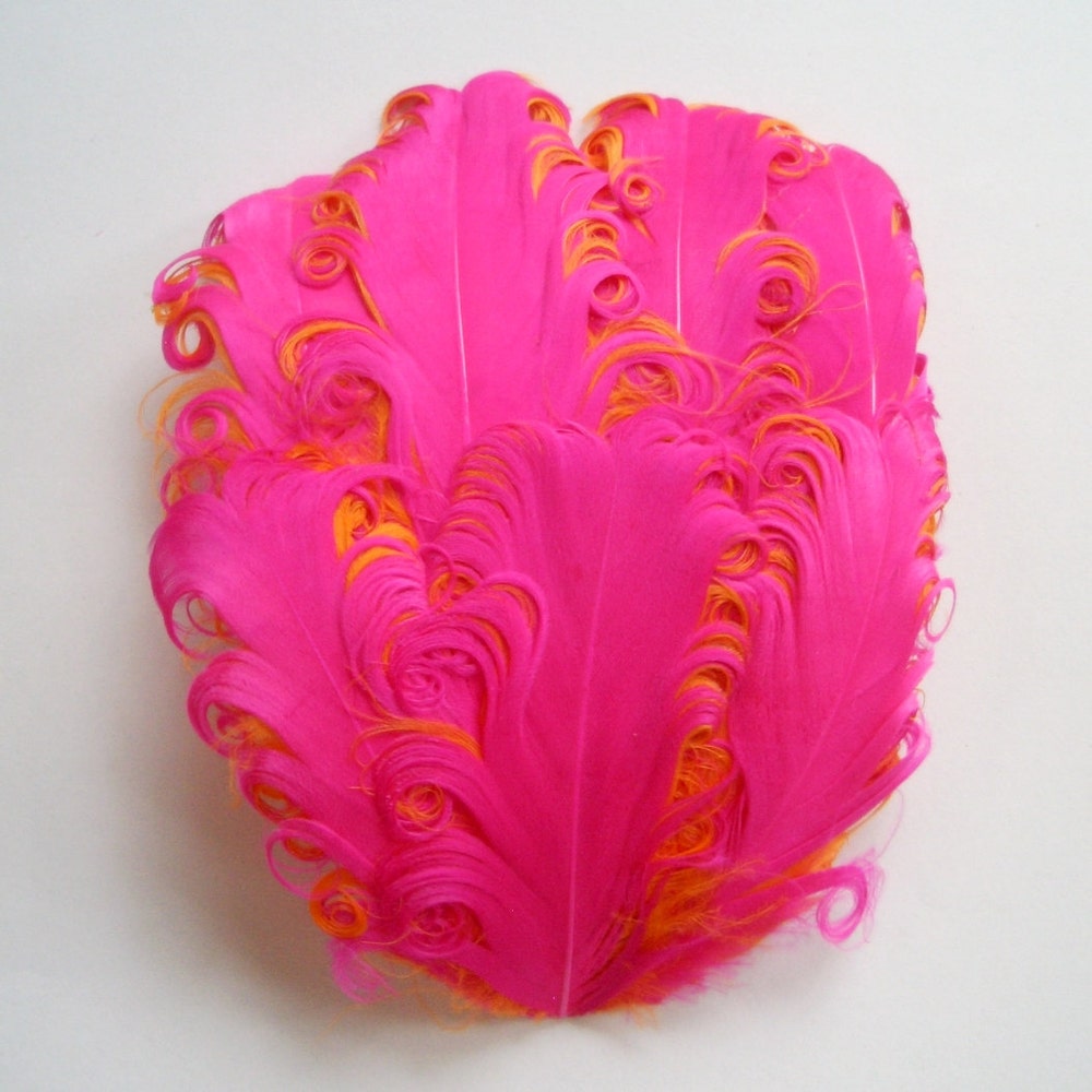 FeatherShoppe - Etsy