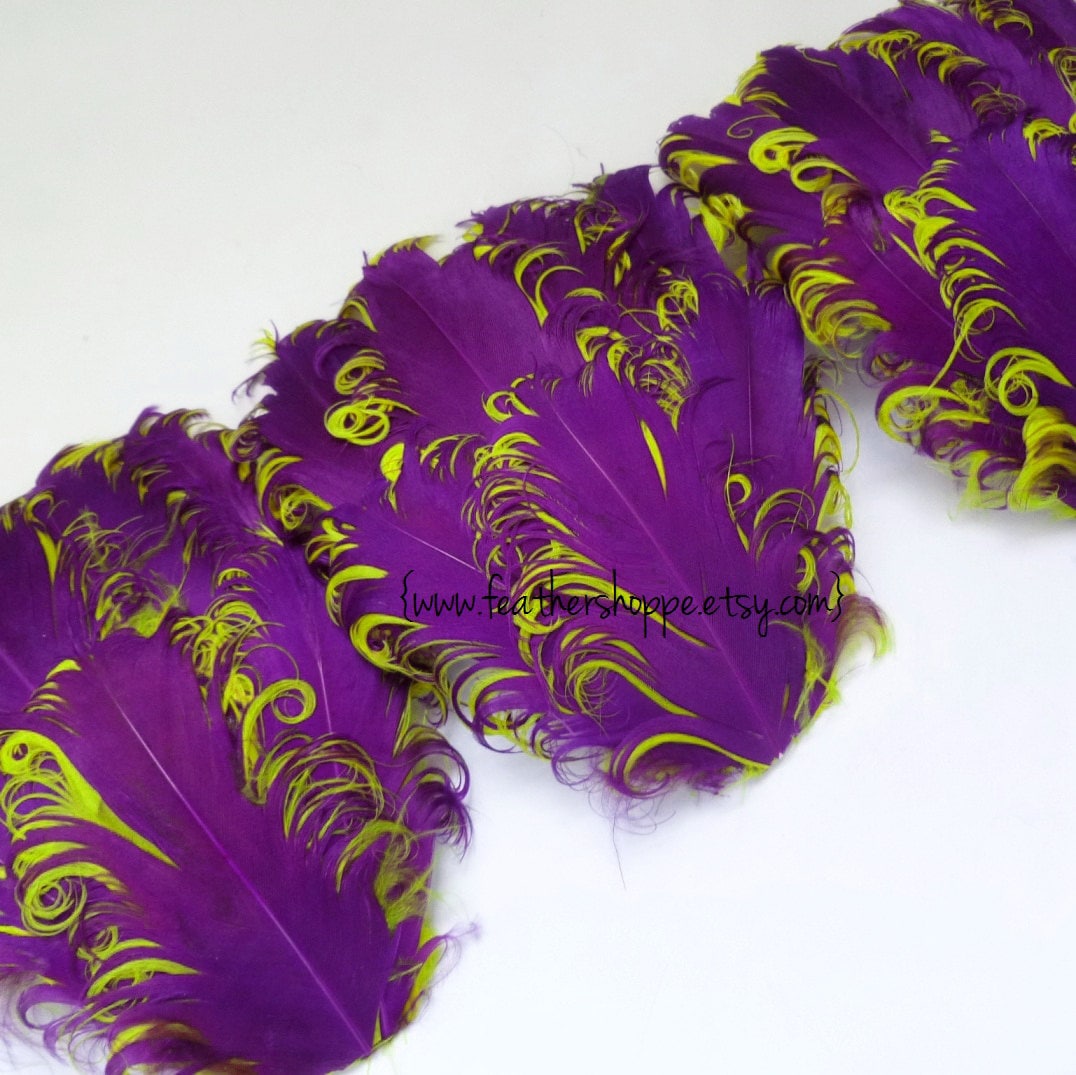 Set of 5 Purple on Gold Curled Goose Feather Pads - Etsy