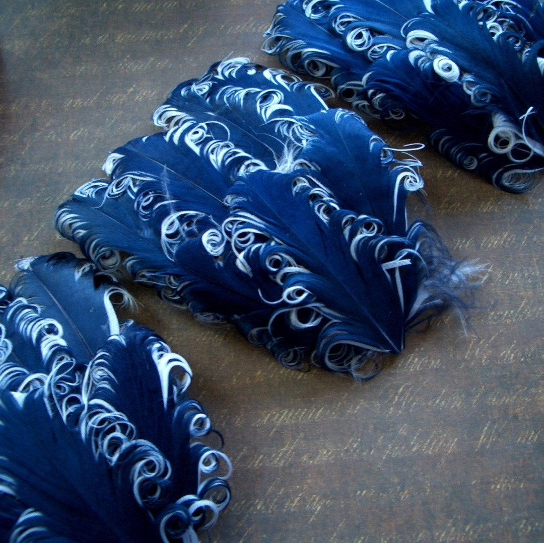 Nagorie Feather Pads - 5 Navy on White Curled Goose Feather Pads - Etsy