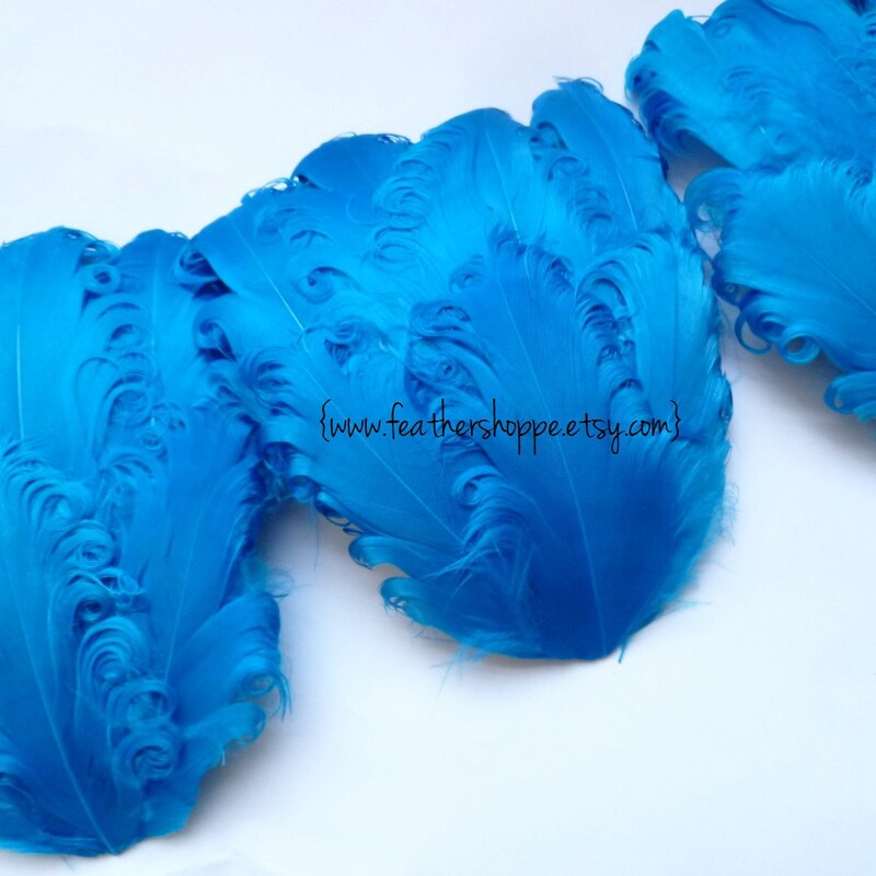 FeatherShoppe - Etsy