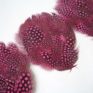 FeatherShoppe - Etsy