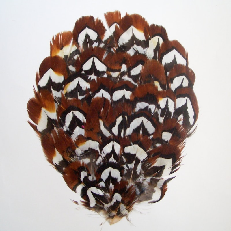 FeatherShoppe - Etsy
