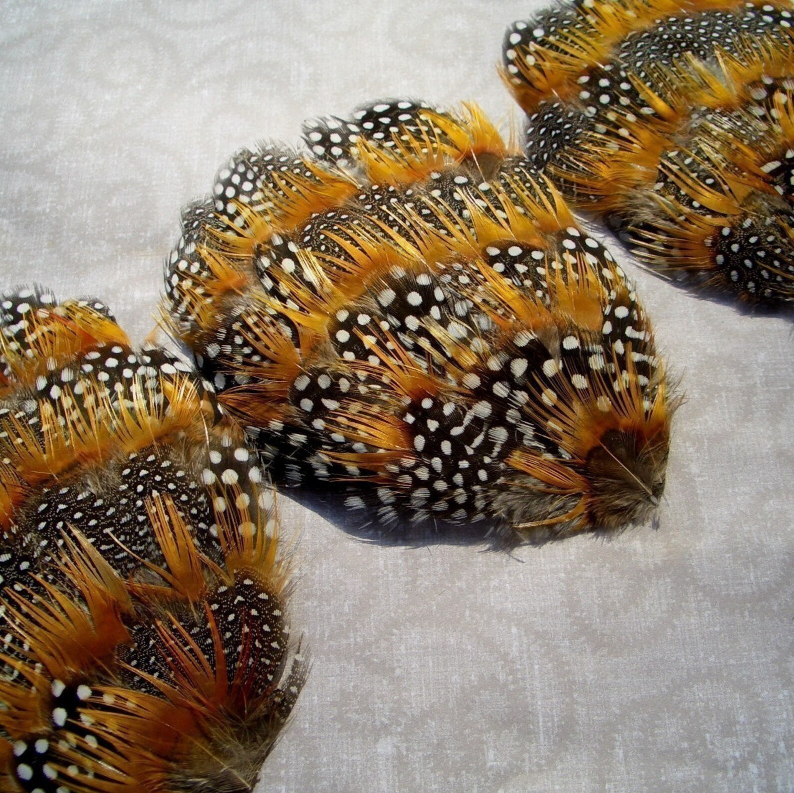 1 Guinea and Golden Pheasant Feather Pad - Etsy