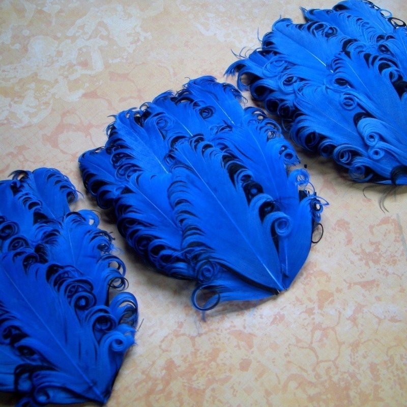 FeatherShoppe - Etsy
