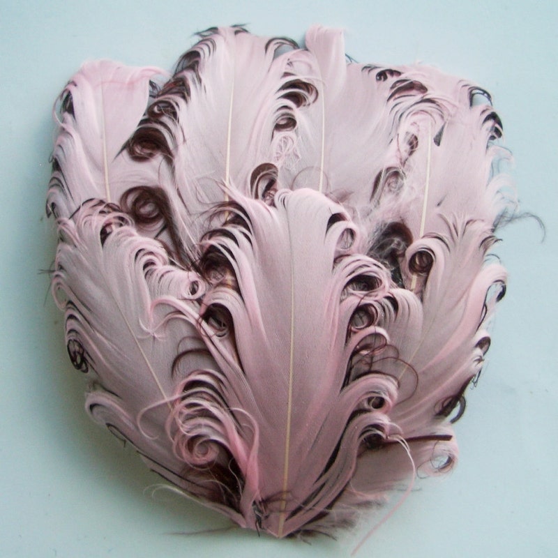 FeatherShoppe - Etsy