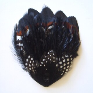 FeatherShoppe - Etsy