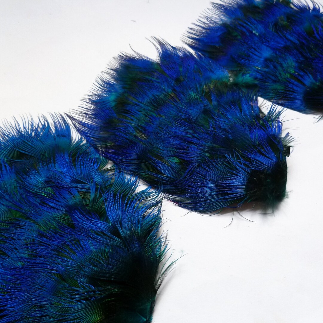 Set of 10 Peacock Feather Pads in Turquoise Blue Peacock Plumage - RARE ...