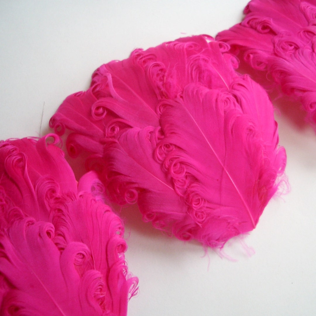 Pink Feather Pads - LOT OF 5 - Fuchsia Hot Pink Nagorie Curled Goose ...