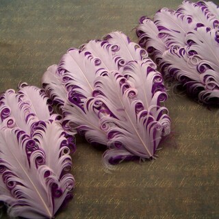 FeatherShoppe - Etsy