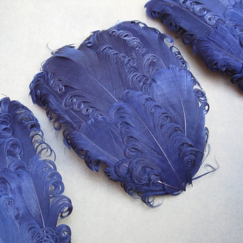 FeatherShoppe - Etsy