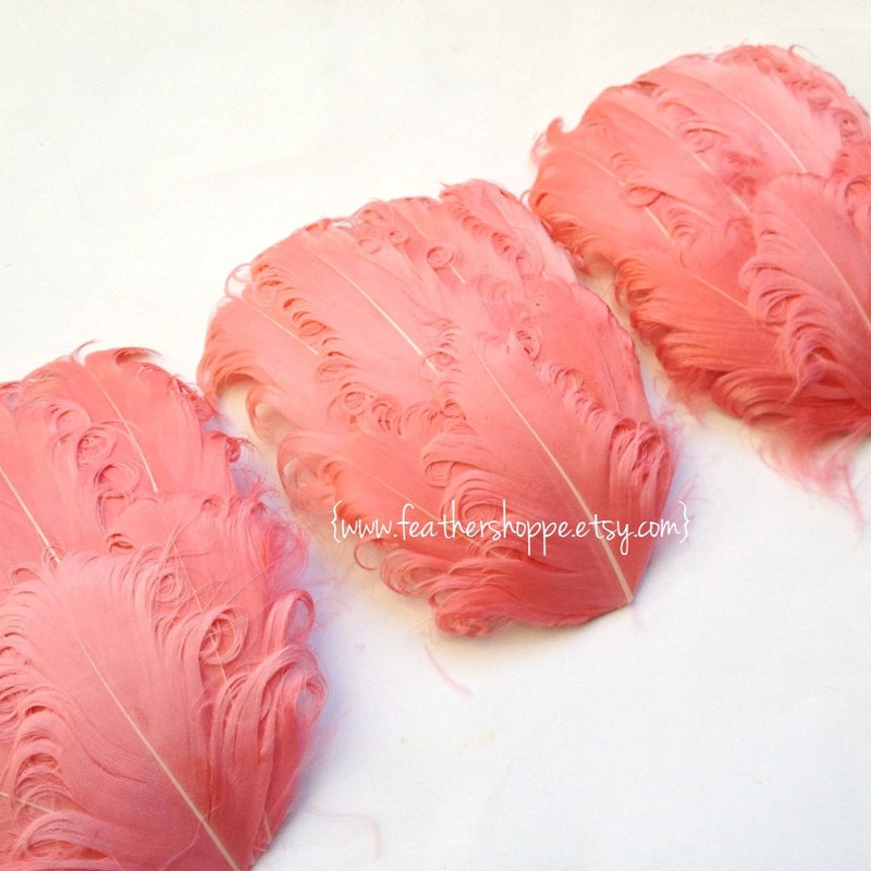 FeatherShoppe - Etsy