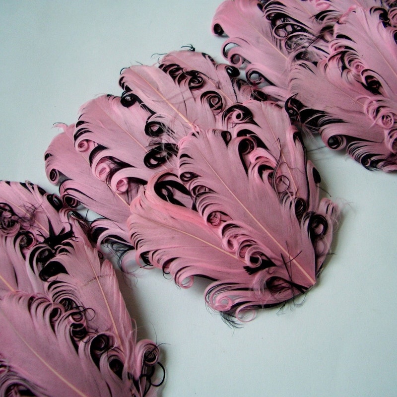 FeatherShoppe - Etsy