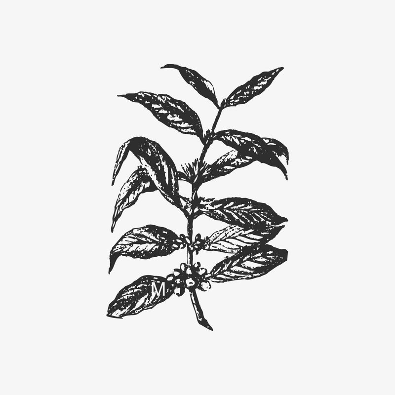 Plant Stamp - Etsy
