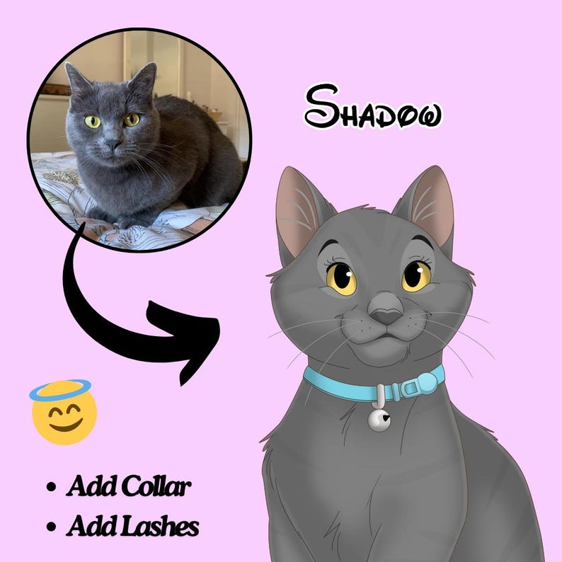 Custom Hand-drawn Cartoon Pet Portrait Turn Your Pet Into a Disney ...