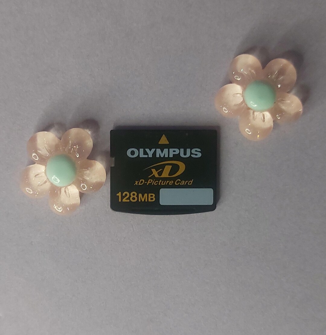 Original Olympus Xd Picture Card 128mb Memory Card for Olympus and ...