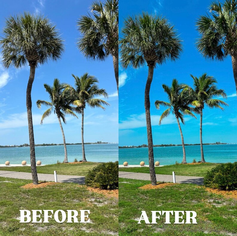 Summer Time Lightroom Preset - Etsy