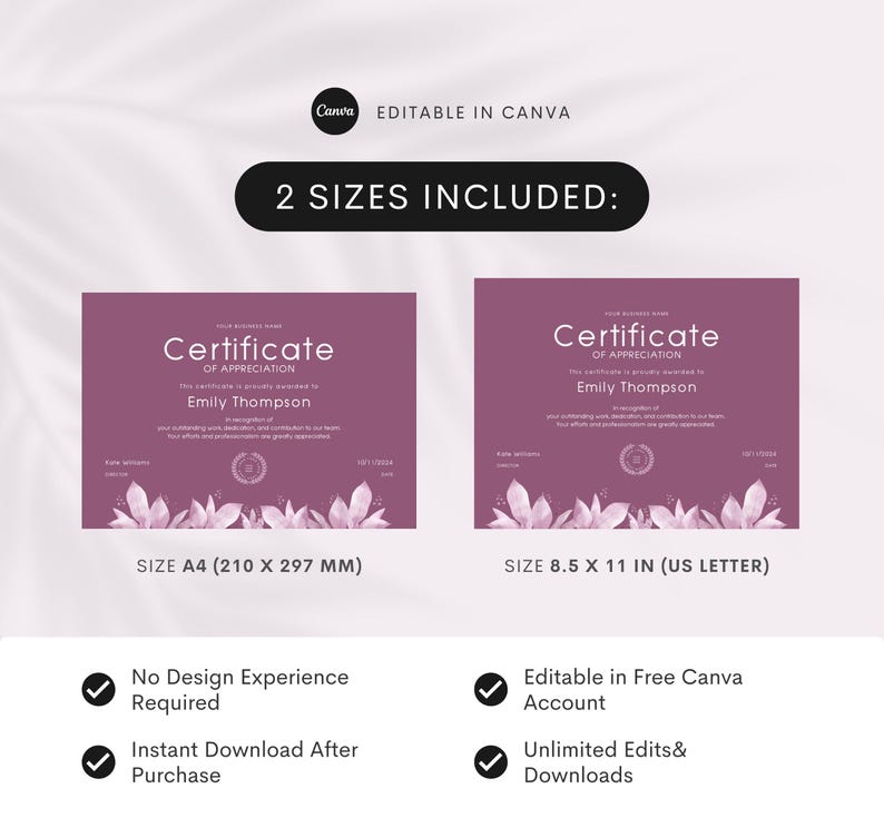 Editable Certificate of Appreciation Template, Printable Appreciation ...