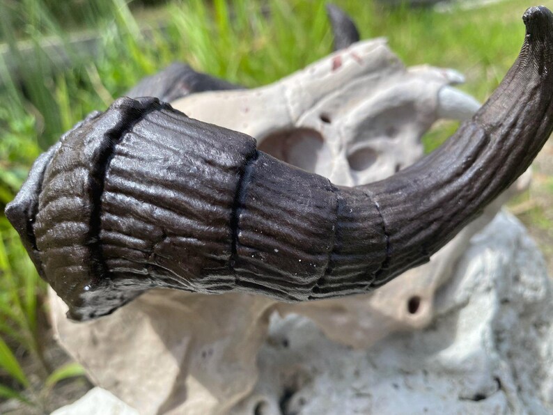 Deathclaw Skull Fallout - Etsy