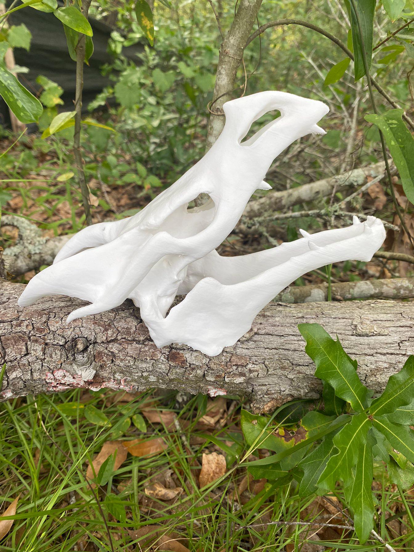 Skyrim Dragon Skull Replica Elder Scrolls V: - Etsy