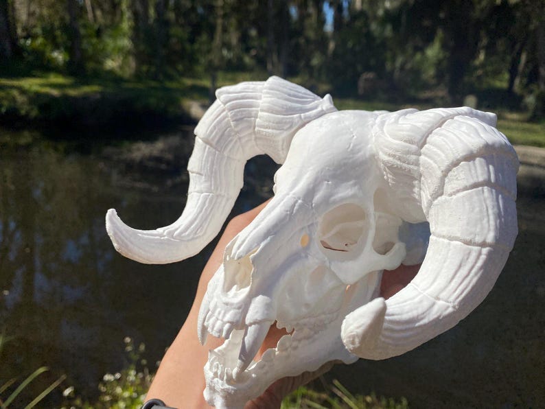 Deathclaw Skull Fallout - Etsy