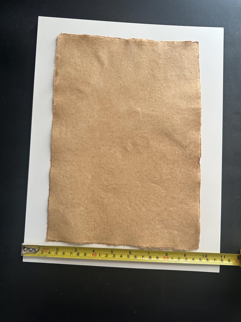 Printed Democratic Poster Printed on Handmade Aged Paper - Etsy