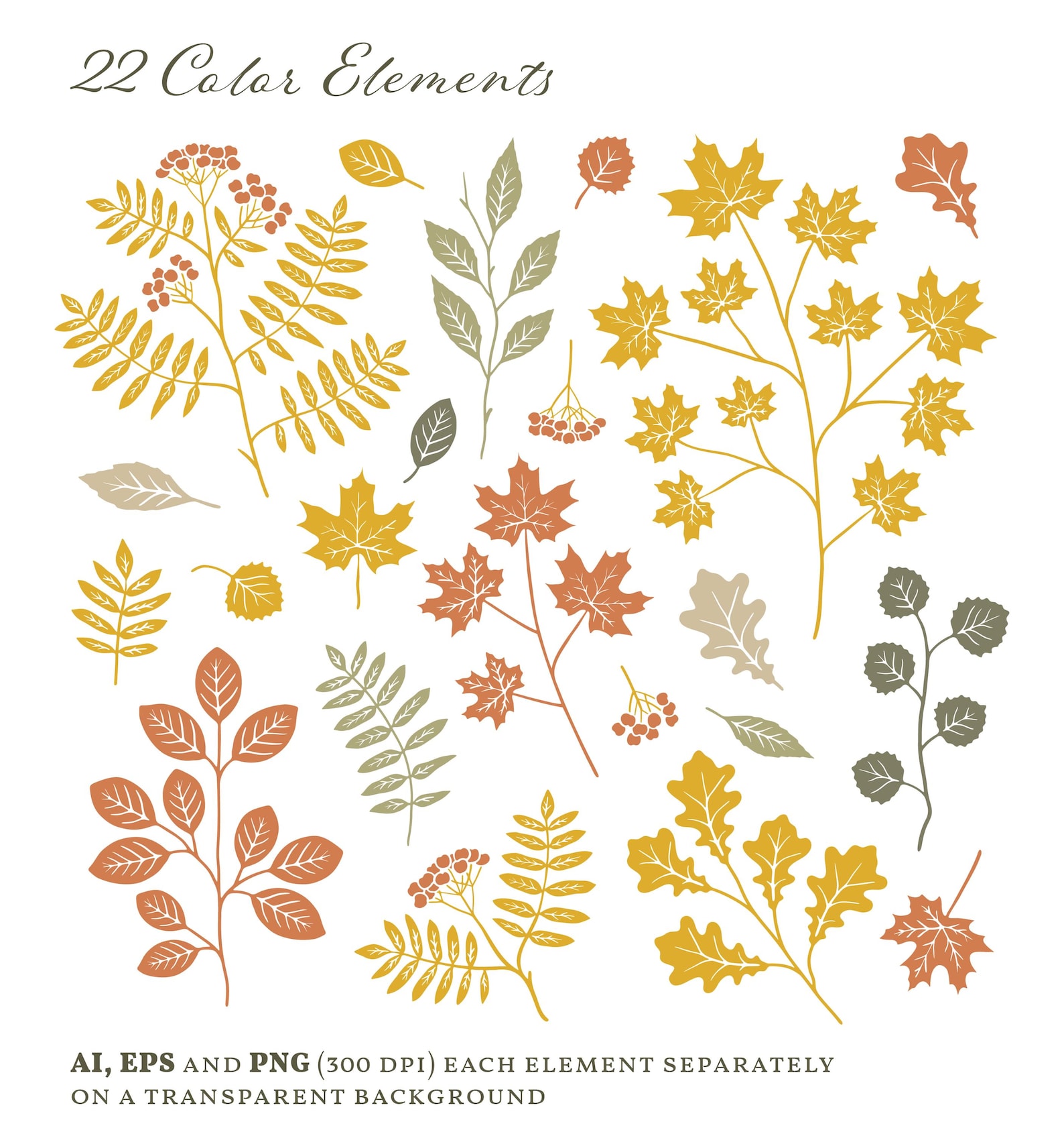Autumn Leaves Clipart Digital Download. AI, EPS, PNG Fall Elements ...