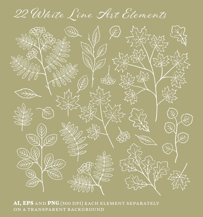 Autumn Leaves Clipart Digital Download. AI, EPS, PNG Fall Elements ...