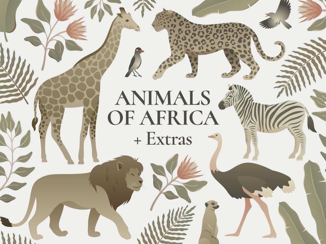Animals of Africa. African Flowers and Plants. Vector Illustration ...