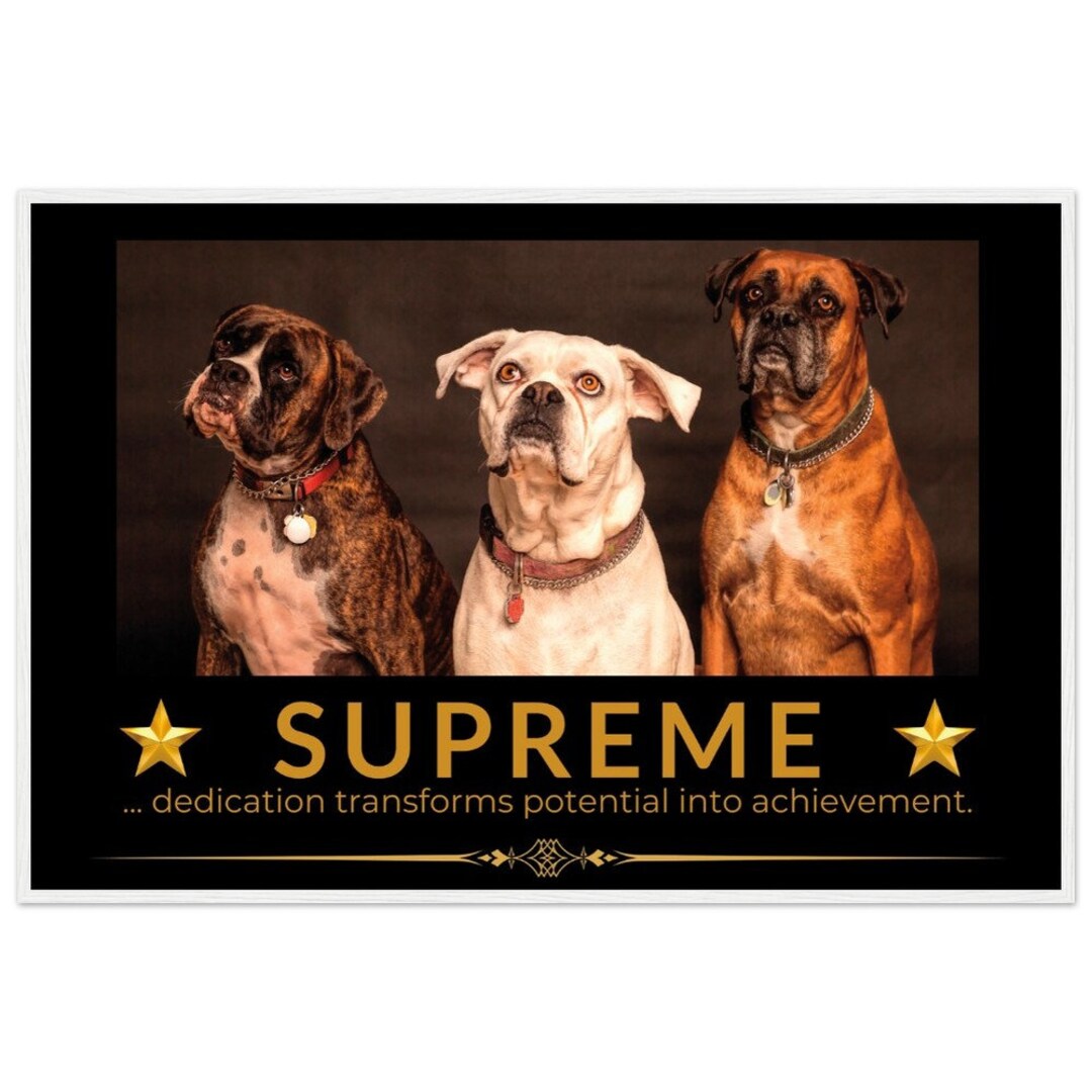 SUPREME - Motivational Dog Wall Art | Framed Pet Print | Inspirational ...