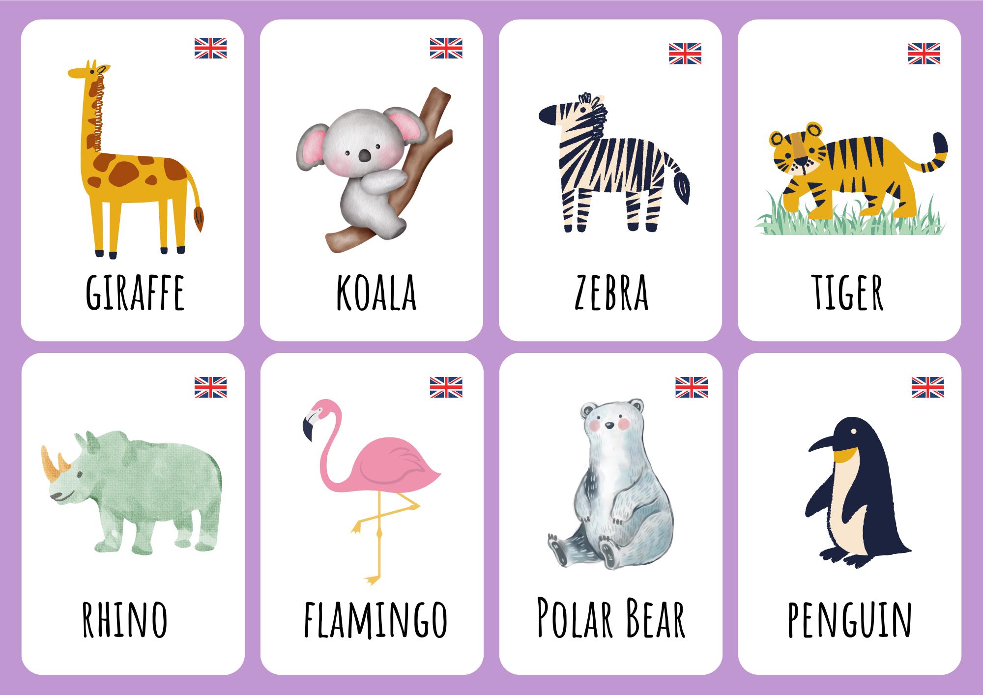 Animal Flashcards, Kids Learning, Early Learning, Fun, Toddlers, Fun ...