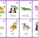 Animal Flashcards, Kids Learning, Early Learning, Fun, Toddlers, Fun ...