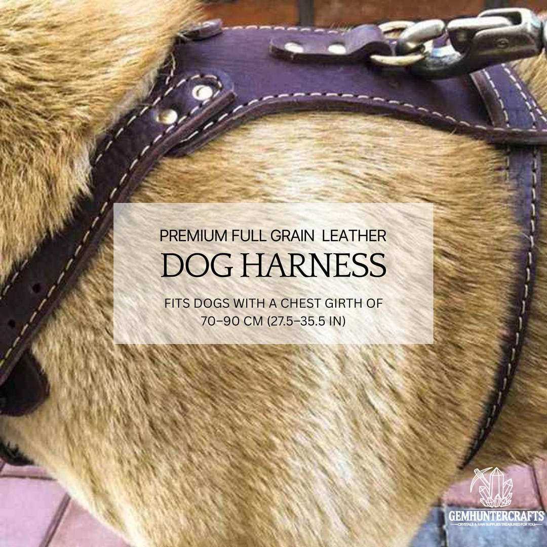 Handmade Full Grain Leather Dog Harness: Personalized Tactical Pet ...