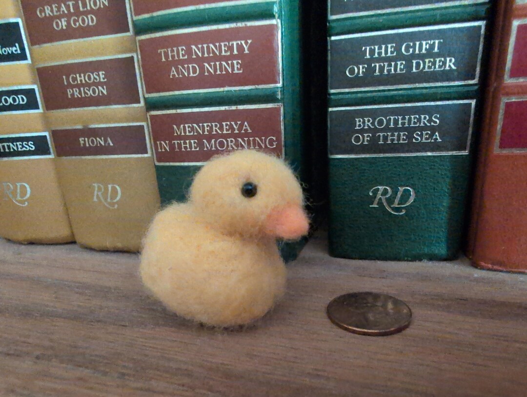 Needle Felt Duck - Etsy