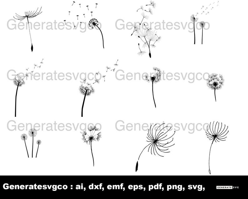 Dandelion Svg Bundle, Dandelion Svg, Cut Files for Cricut, Silhouette ...