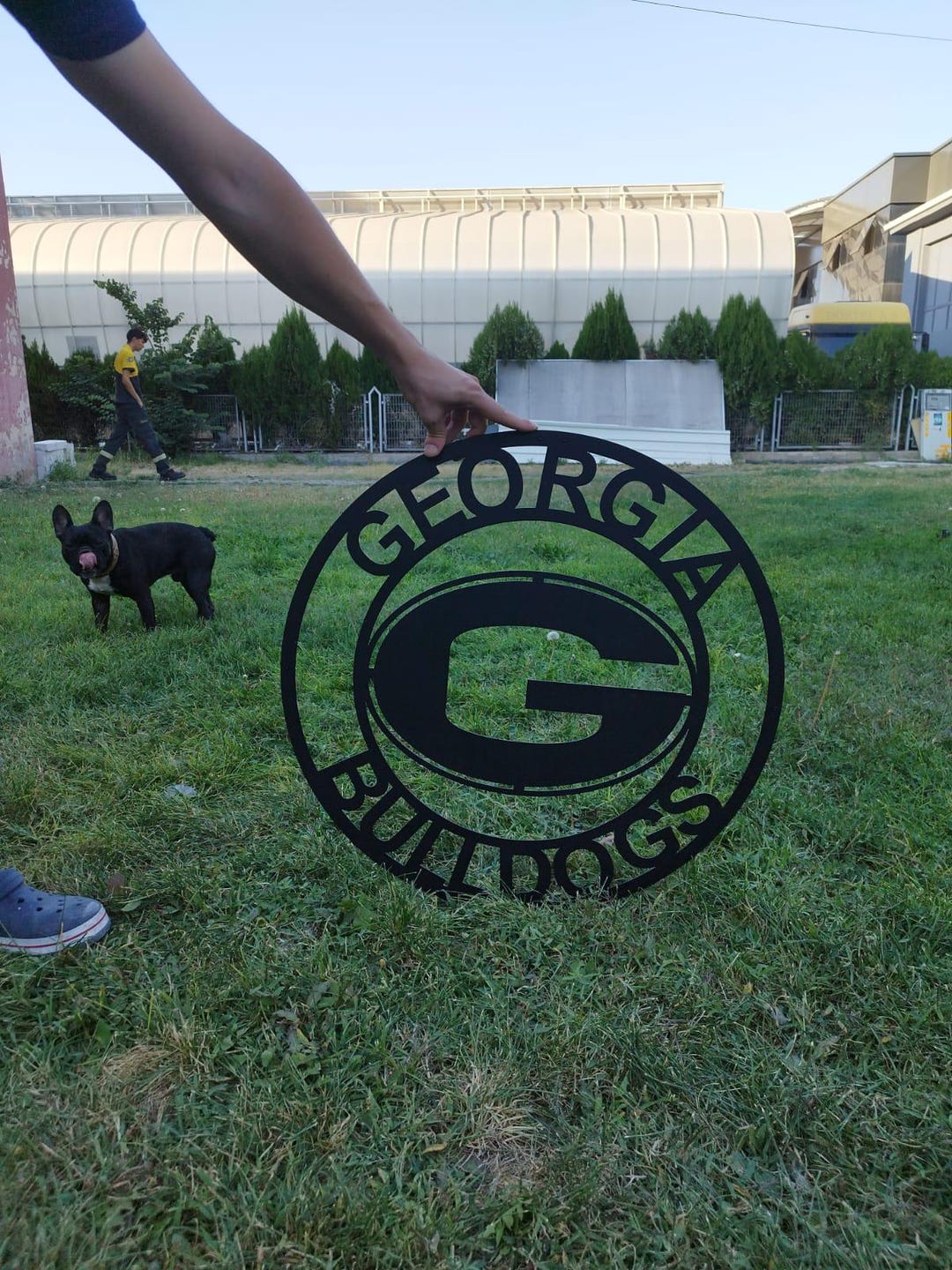 Metal Georgia Bulldogs Football Wall Art: Stainless Steel Garage Decor ...