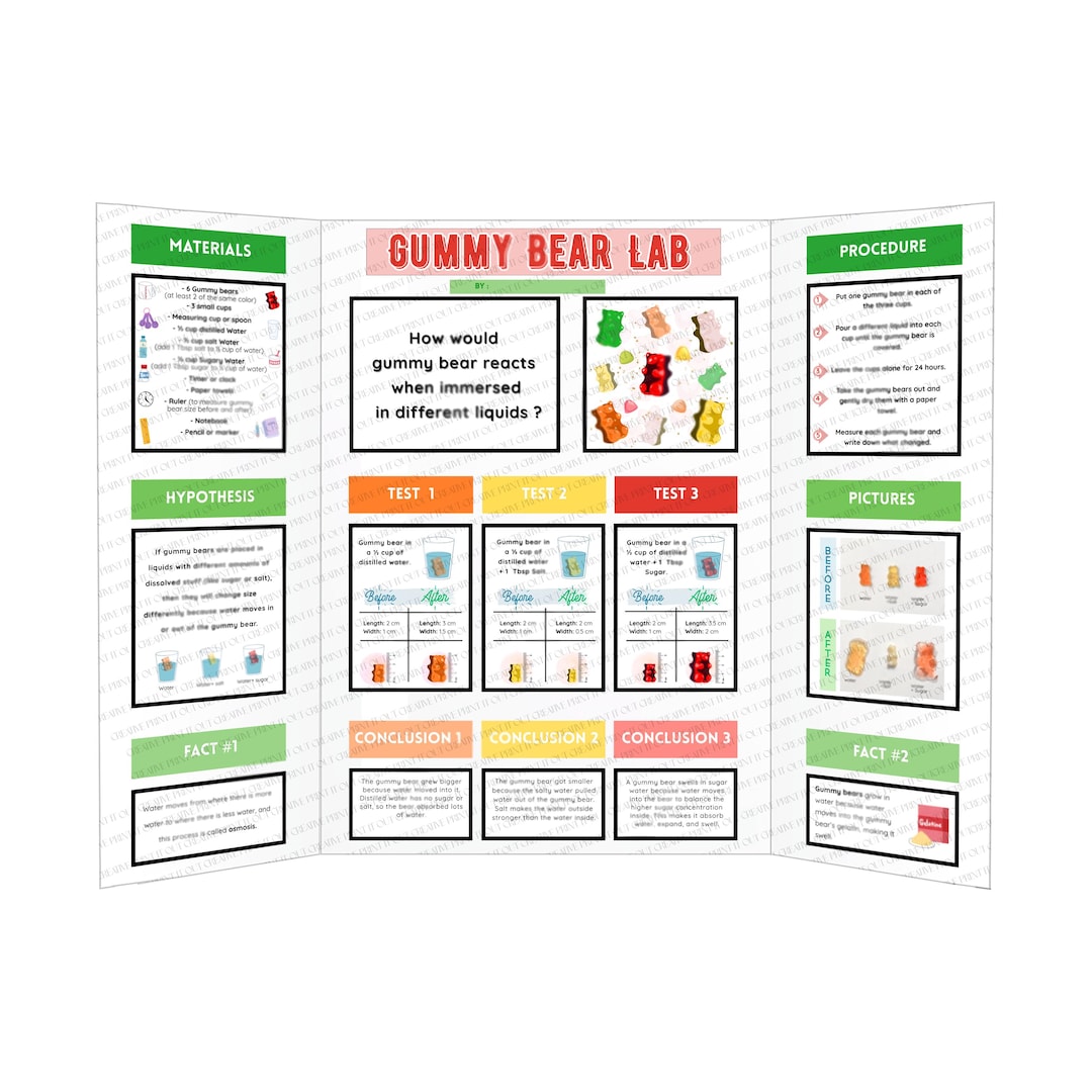 Gummy Bear Lab Science Trifold Project | Digital-instant Download ...
