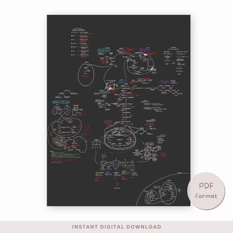 Biochemistry Notes & Pathways Map: High Yield Study Guide (PDF Download ...